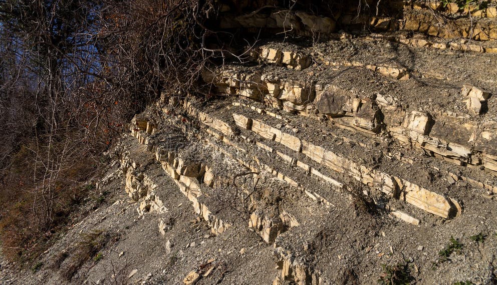 Sedimentary Rocks Background. Close-up of Sedimentary Limestone ...