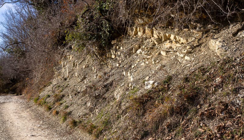 Sedimentary Rocks Background. Close-up of Sedimentary Limestone ...