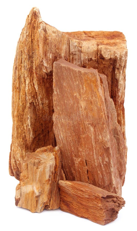 Sedimentary rocks stock image. Image of sedimentary, rock - 64819297