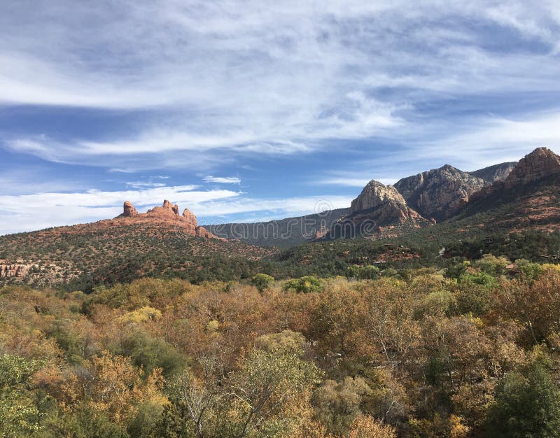 Sedona, Arizona in November. Stock Photo - Image of creek, flower ...