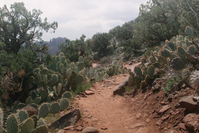 Sedona path stock image. Image of trail, southwest, arizona - 363722777