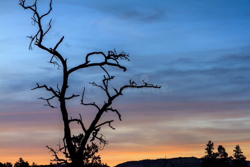Sedona Sunset stock photo. Image of arizona, rural, nature - 55685368