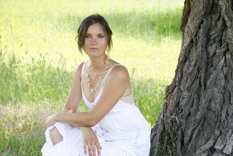 Seduced by daisies stock image. Image of nature, beautiful - 25288399