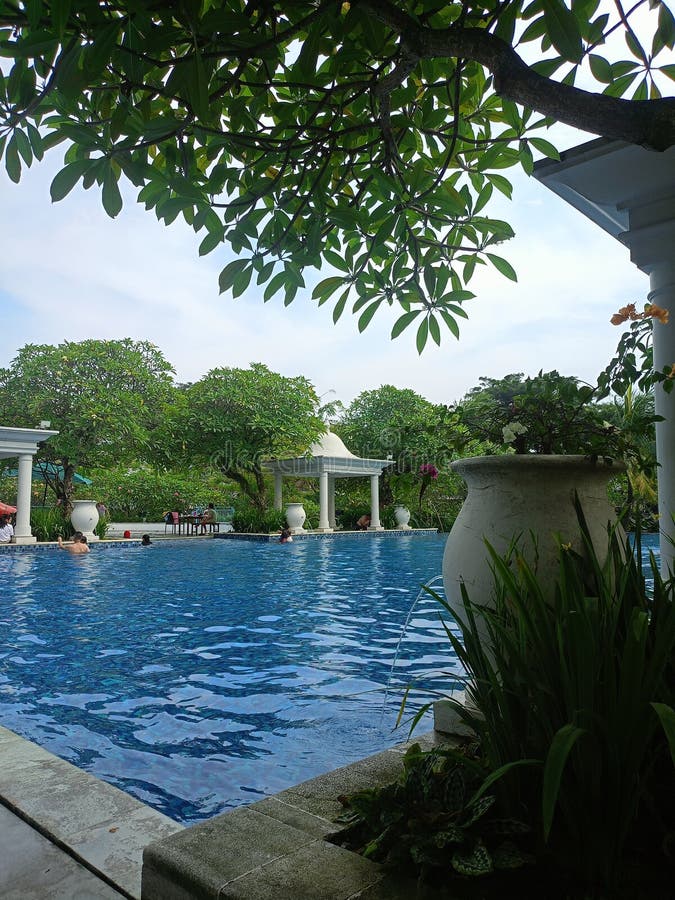 See the Atmosphere of the Swimming Pool in the Morning Stock Photo ...