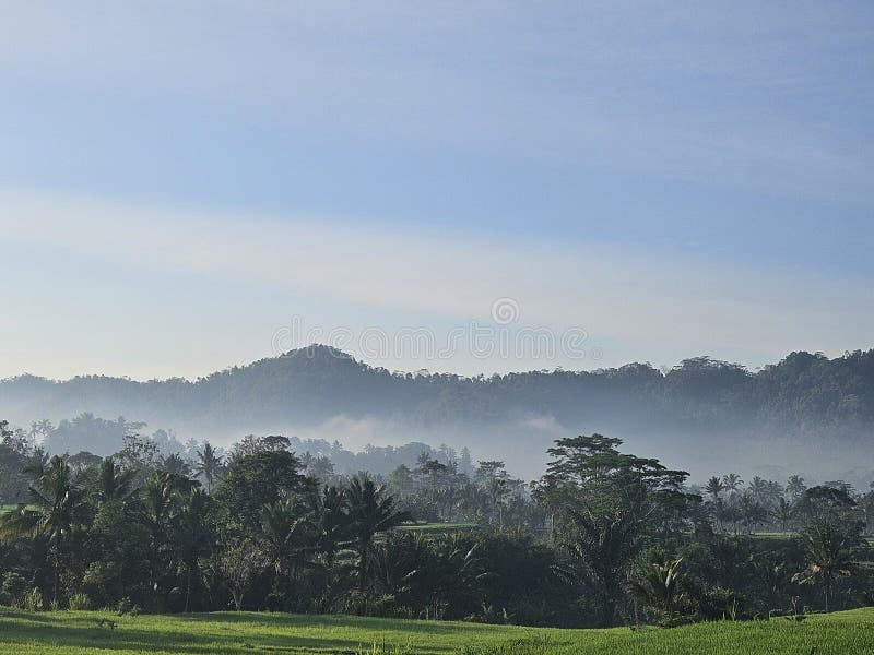 See the Beautiful Hills in Selat Village Stock Image - Image of field ...