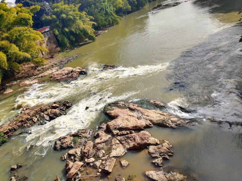 We See a Beautiful Stream with Plenty of Water Flow and Beautiful Trees ...