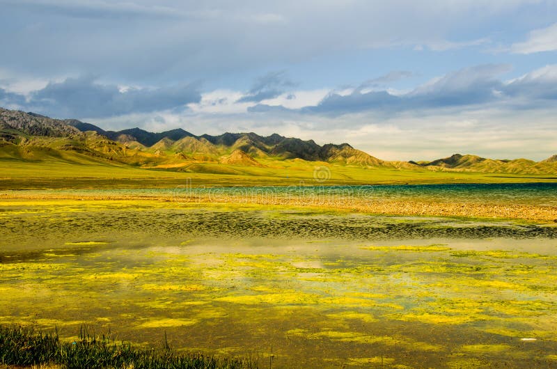 See durch die Wiese stockbild. Bild von hintergrund, schatten - 32076847