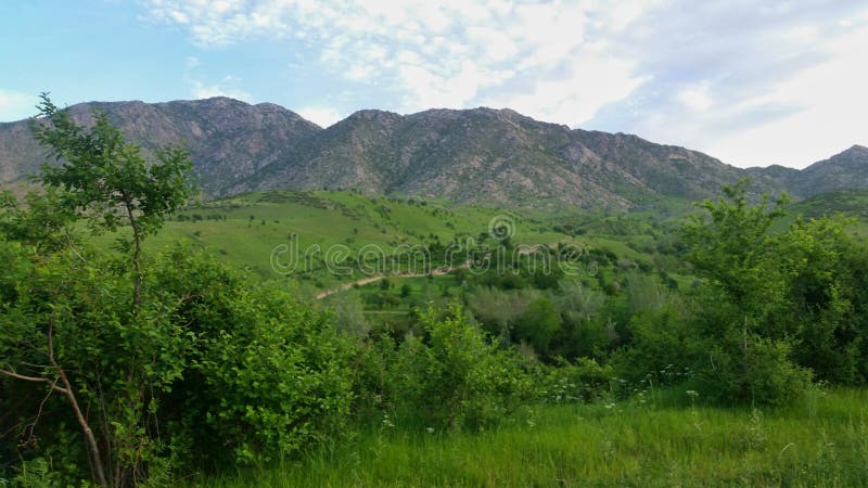 See How the Colors of Nature Match Together Stock Image - Image of ...