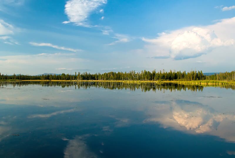 See, Insel und Bank stockfoto. Bild von laub, umgebung - 33969986