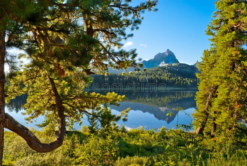 See im Wald stockfoto. Bild von wald - 44755494