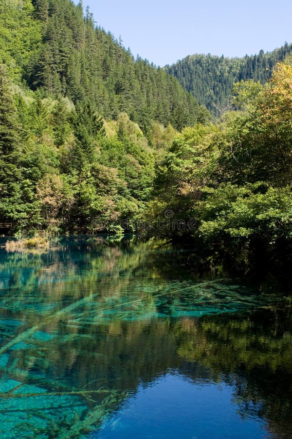 Blumen und See Genf stockfoto. Bild von wasser, frühling - 96006880