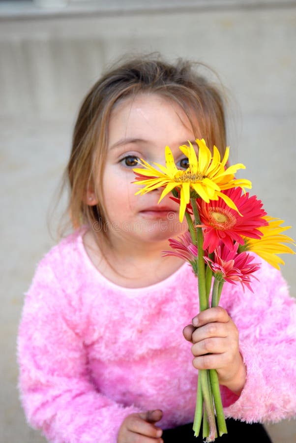 See My Flowers stock photo. Image of appealing, floral - 1417882