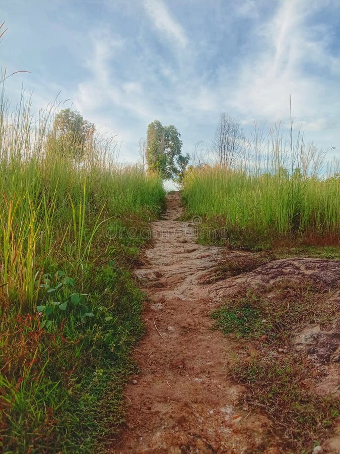 See Natural Scenery.the Path Leads To the Top of the Hill, Against a ...