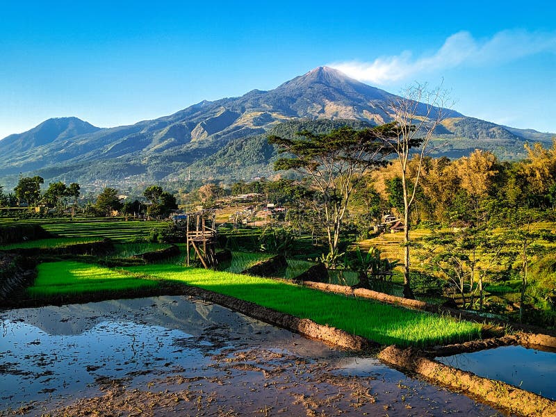 See the Natural Scenery of the Village Stock Photo - Image of hill ...