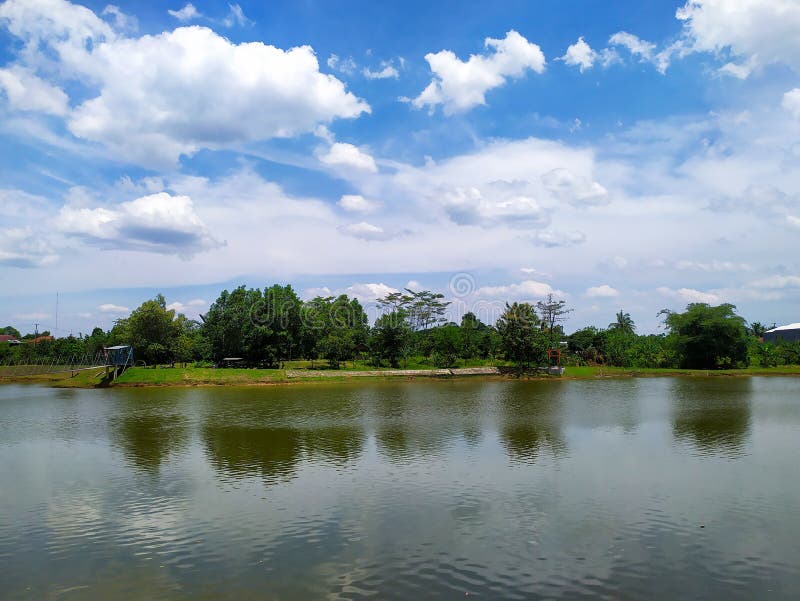 See the Open Landscape of a Lake Stock Image - Image of lake, wetland ...