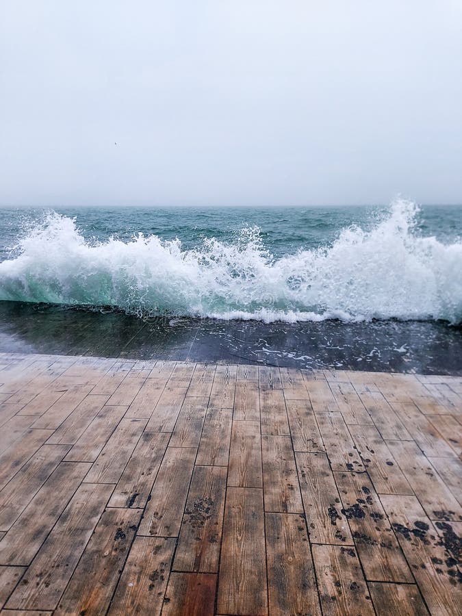 See the sea stock photo. Image of mudflat, coast, water - 208645440