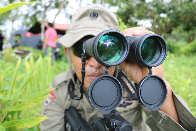 Sniper hiding in bushes editorial image. Image of army - 114933245