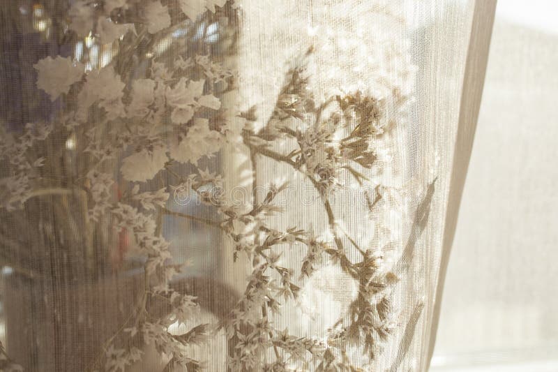 375 See Thru Flicker Stock Photos - Free & Royalty-Free Stock Photos ...