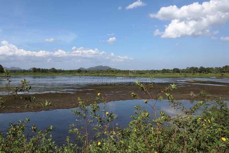 See Und Landschaften in Sri Lanka Stockbild - Bild von meerblick, teich ...