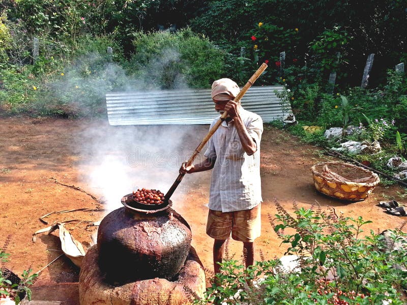 See Working me stock photo. Image of nuts, winter, beauty - 70956060