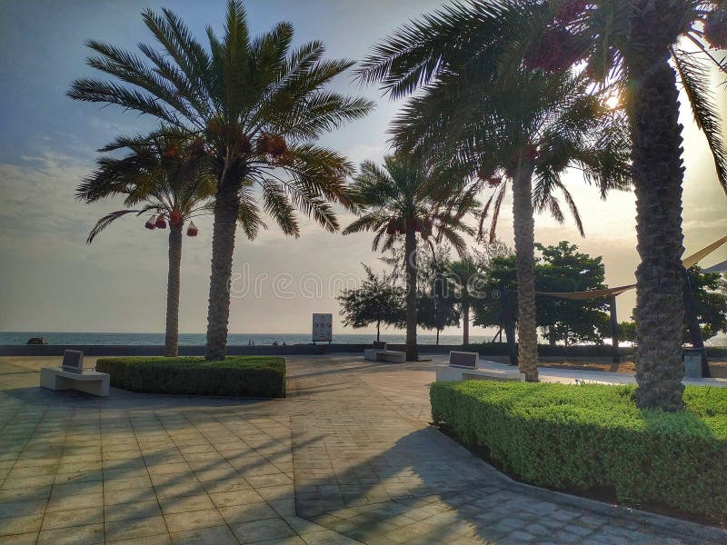 Seeb Beach Park, Muscat, Oman Stock Photo - Image of green, muscat ...