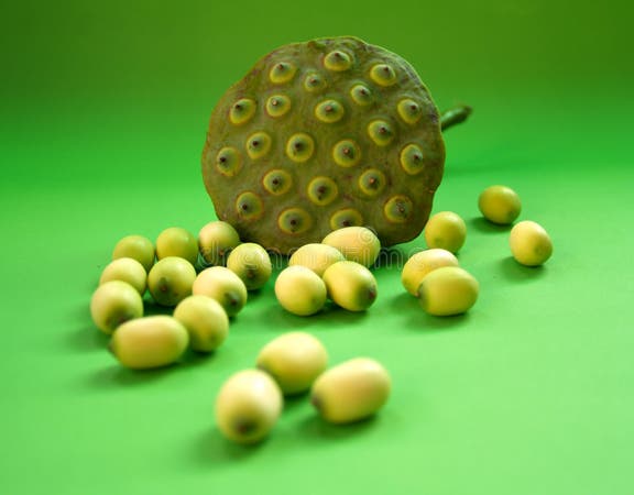 785 Seed Floating Water Stock Photos - Free & Royalty-Free Stock Photos ...