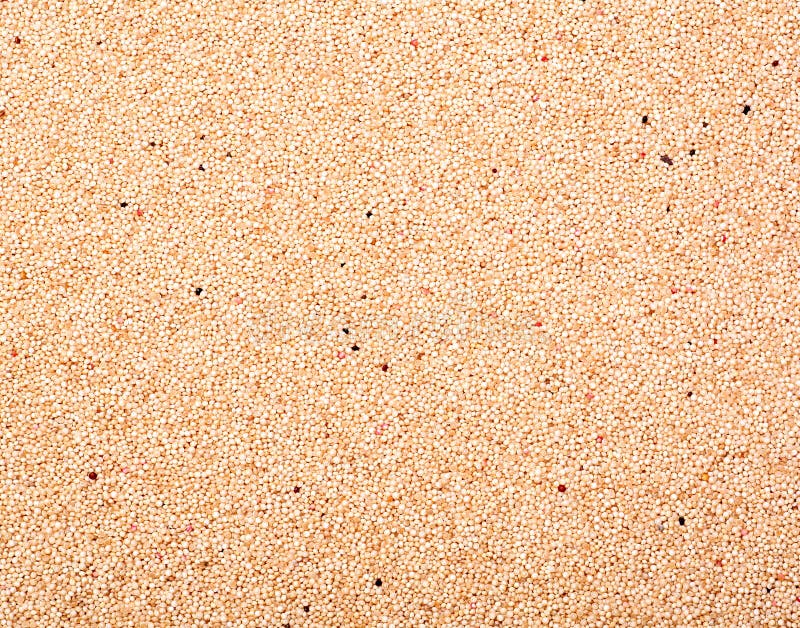 Seed Background stock photo. Image of nature, pattern - 4612518