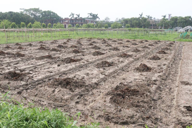 Seed Bed Preparation on Field Stock Photo - Image of industry, hookah ...