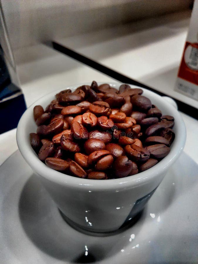 Seed Coffee stock photo. Image of table, seed, white - 47840478