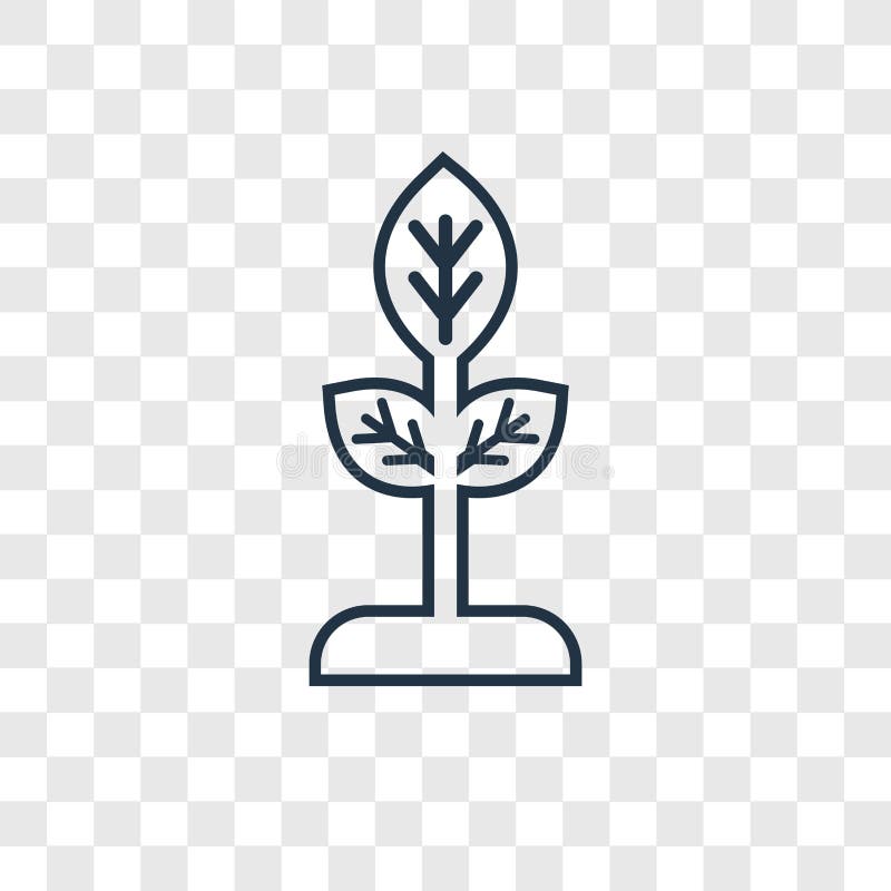 Seed Concept Vector Linear Icon Isolated on Transparent Background ...