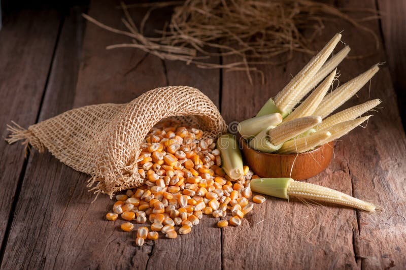 Seed Corn and Baby Corn on Wooden Table Background Stock Photo - Image ...
