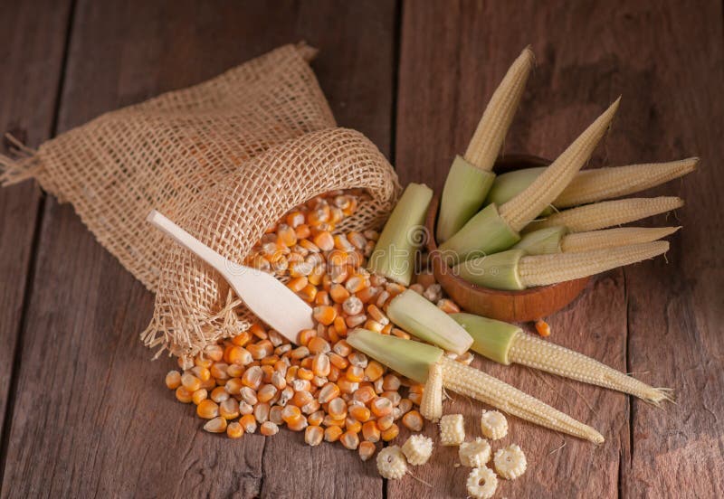 Seed Corn and Baby Corn on Wooden Table Background Stock Photo - Image ...