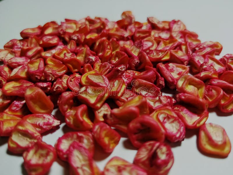1,990 Pink Corn Seed Stock Photos - Free & Royalty-Free Stock Photos ...