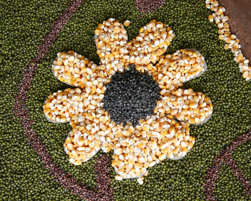 Seed on flower shape stock photo. Image of agriculture - 43398946
