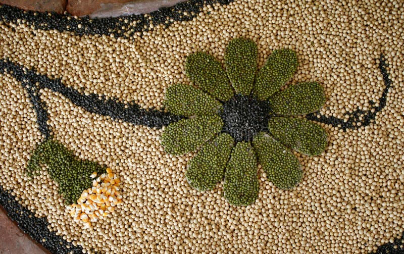 Seed on flower shape stock image. Image of vegetarian - 43398949