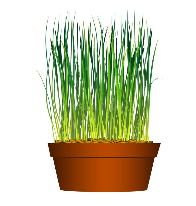 Farmer sowing seeds stock vector. Illustration of body - 12411074