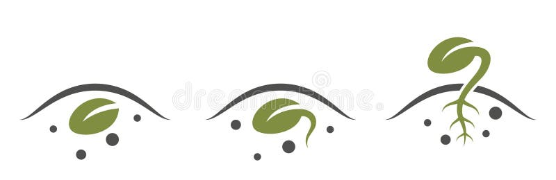 Seed Germination Icon Set. Grain Growing, Planting and Agriculture ...