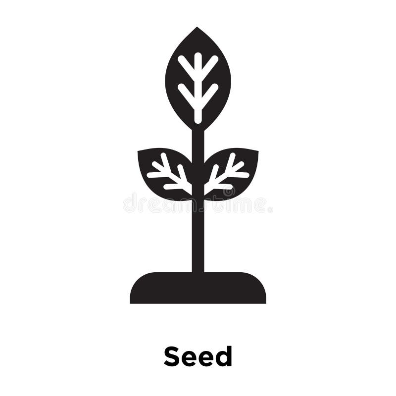 Seed Icon Vector Isolated on White Background, Logo Concept of S Stock ...