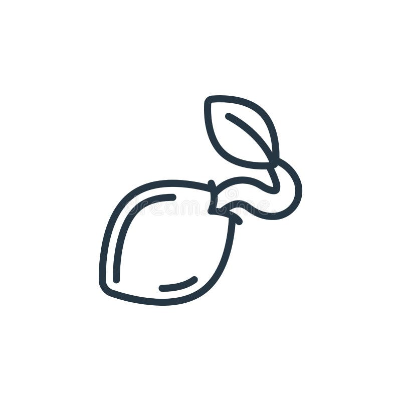 Seed Icon Vector from Plants Concept. Thin Line Illustration of Seed ...