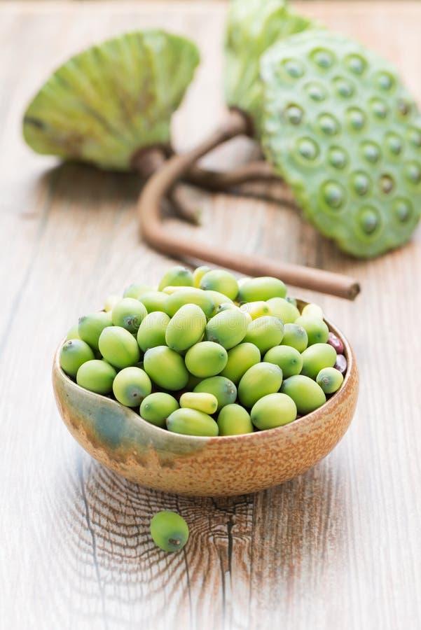 Seed Pod of Lotus Flower stock photo. Image of nature - 31824204