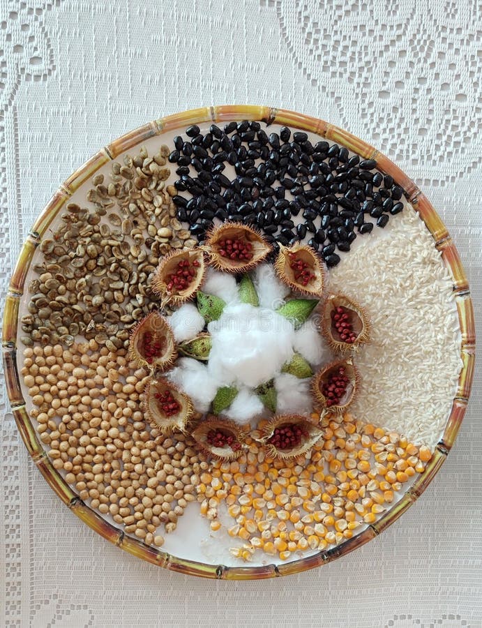 Seed mandala stock image. Image of food, spice, meal - 328582947