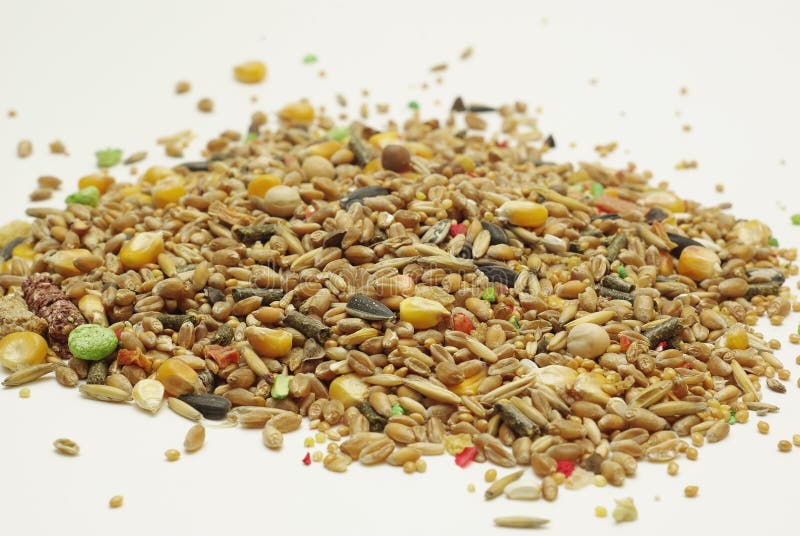 Seed mix stock photo. Image of corn, soil, fodder, plants - 13792182