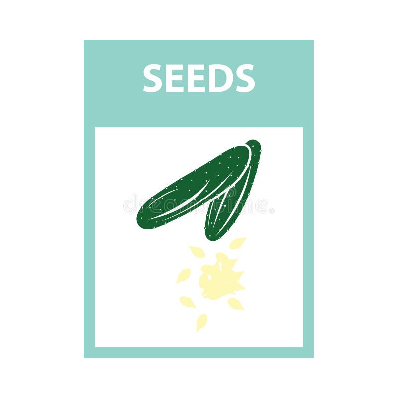 Seed Pack Icon stock vector. Illustration of grain, healthy - 202735768
