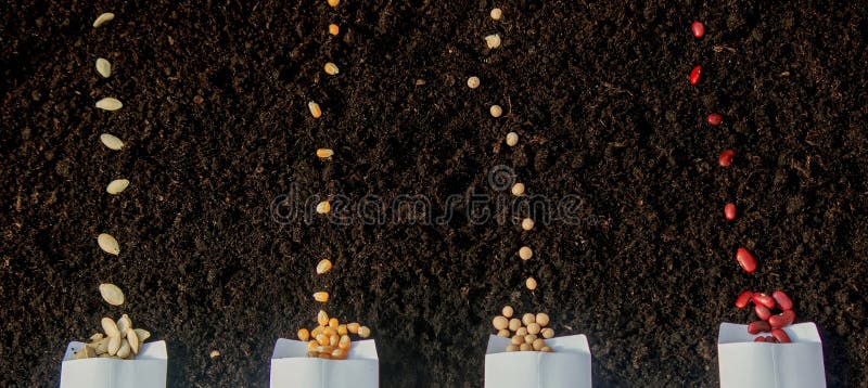 Seed Planting: a Variety of Crops for Future Harvest. Selective Focus ...