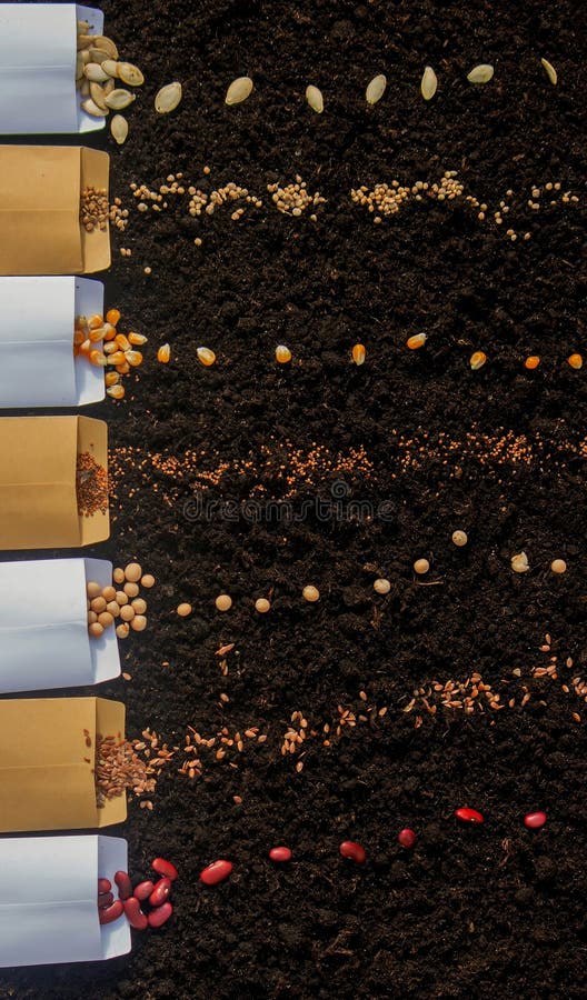 Seed Planting: a Variety of Crops for Future Harvest. Selective Focus ...