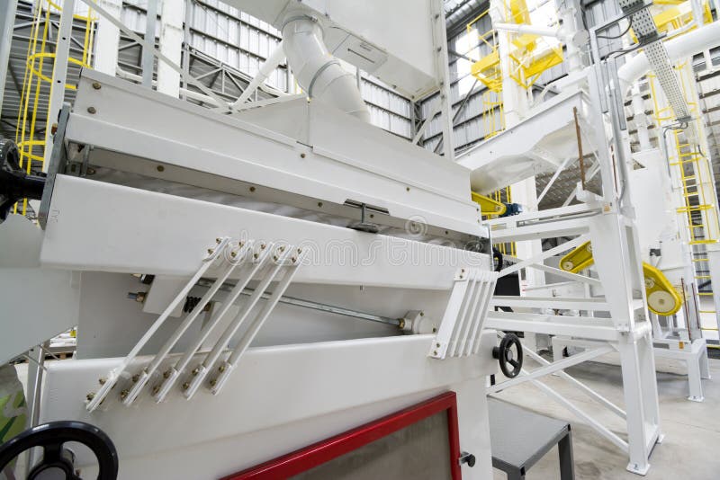 Seed sorting plant stock photo. Image of seeds, performance - 135752888