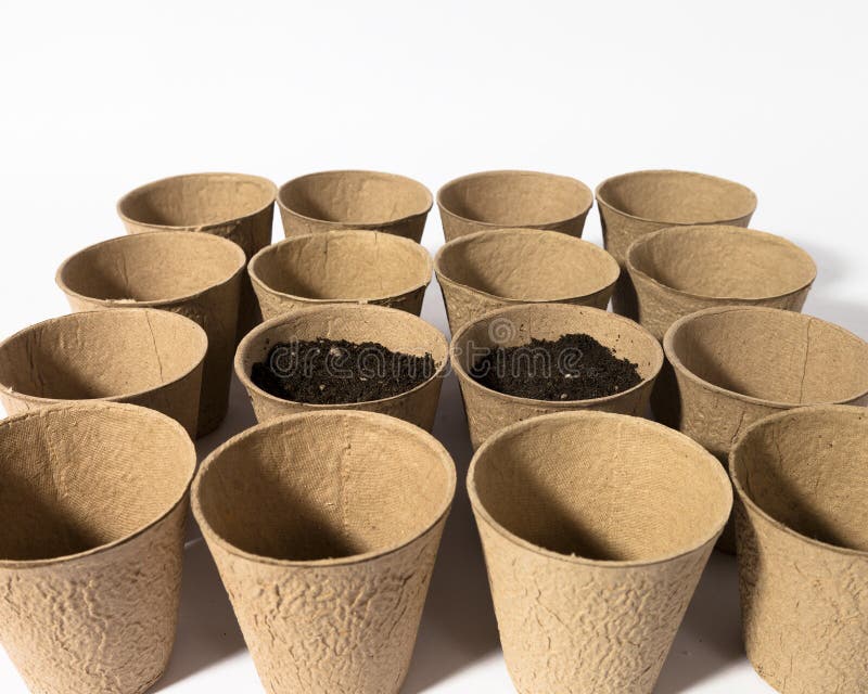 278 Empty Biodegradable Seed Stock Photos - Free & Royalty-Free Stock ...