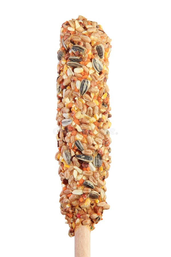 Seed stick stock image. Image of nutrition, food, stick - 35860793