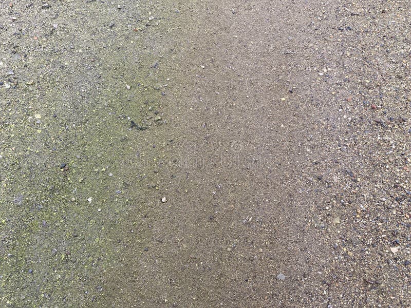 Seed on stone floor stock image. Image of closeup, gravel - 250419063