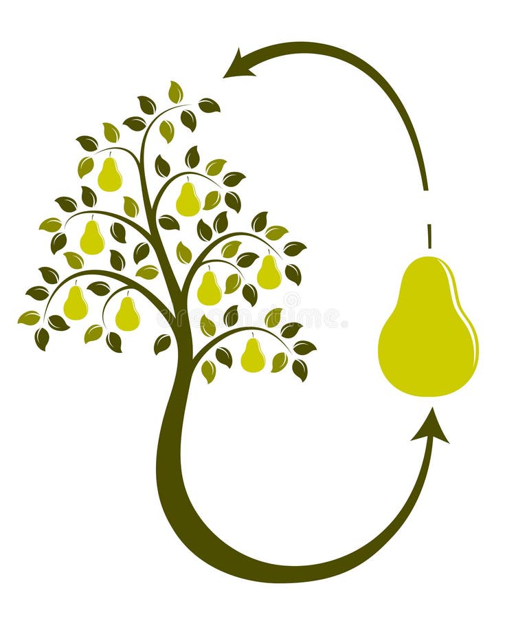 Life Cycle Pear Tree Stock Illustrations – 56 Life Cycle Pear Tree ...